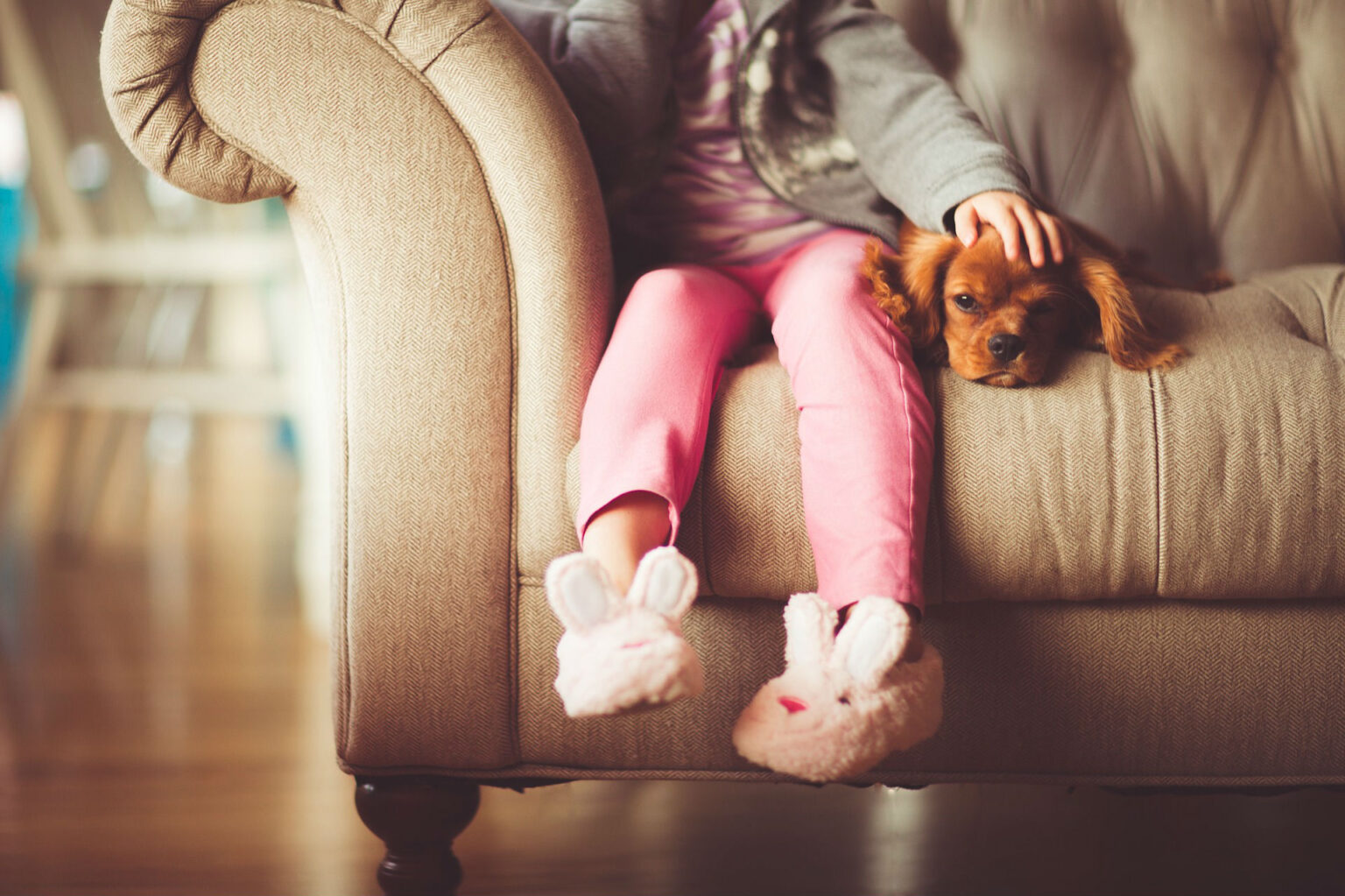 Pulci del Cane - Come Riconoscerle, Eliminarle e Prevenirle in Casa